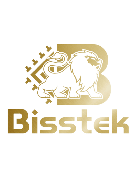 Calgary Web Design Services - Bisstek
